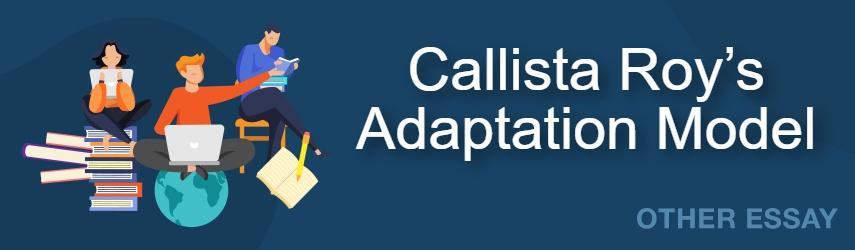 Callista Roy’s Adaptation Model Essay Sample